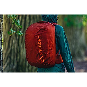 Gregory Men's Backpack, Orange (Ferrous Orange), One Size