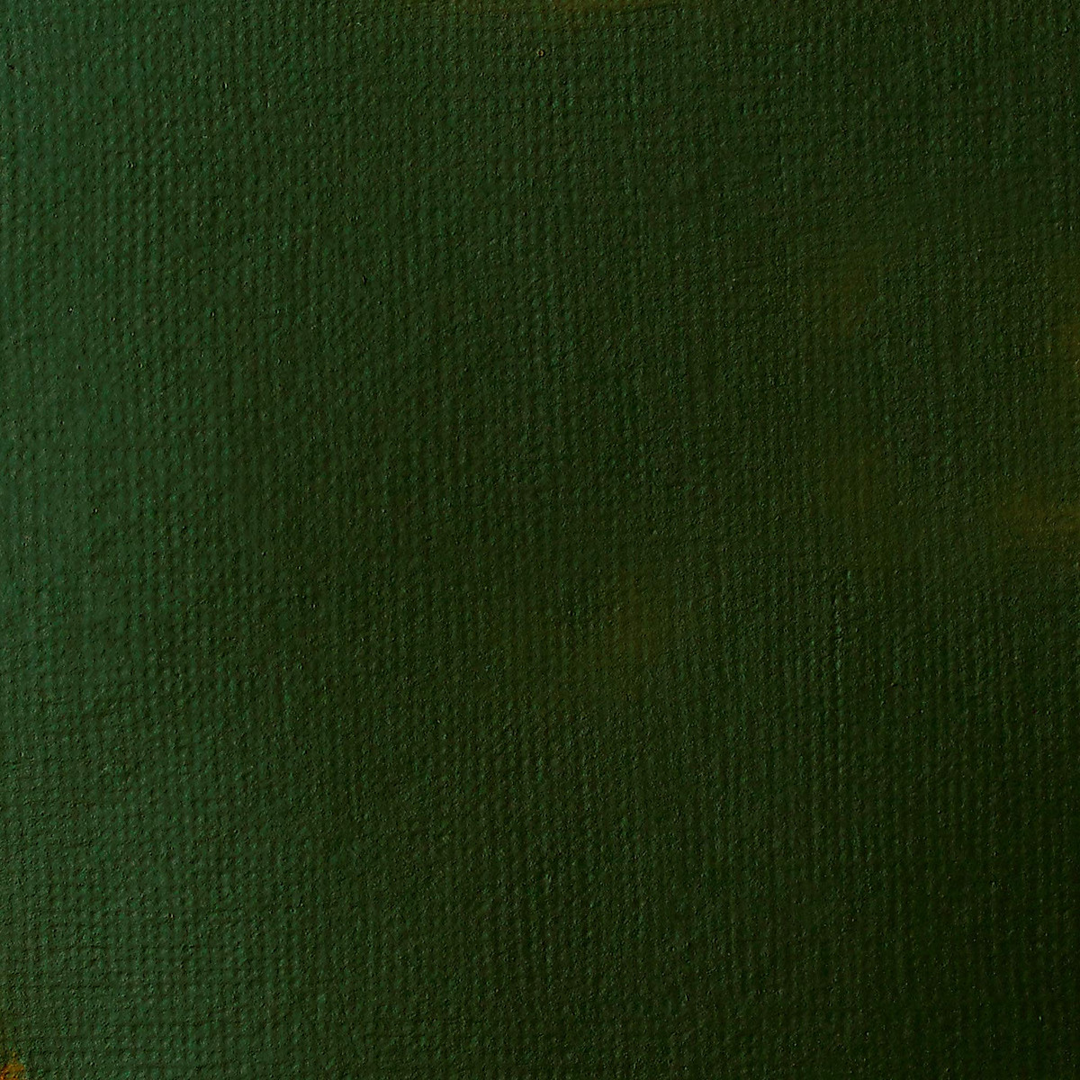 Liquitex BASICS Acrylic Paint, 400ml (13.5-oz) Bottle, Hooker’s Green Hue Permanent