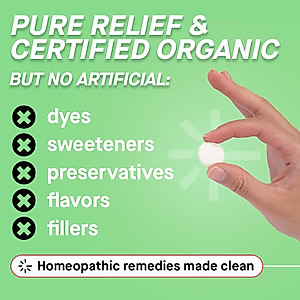 Genexa Allergy Care for Adults | Non-Drowsy, Allergy & Decongestant Relief | Delicious Organic Acai Berry Flavor | Homeopathic Remedy Made Clean | 60 Chewable Tablets