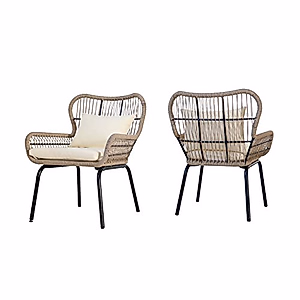 Christopher Knight Home Kimberley Outdoor Club Chairs, Steel and Rope, Cushioned, Boho, Dark Gray, Brown, Beige