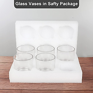 6 Pack Clear Glass Cylinder Vases, Table Flowers Vase Candle Holder for Home,Garden, Wedding Centerpiece Decorations and Formal Dinners (Width 4", Height 4")
