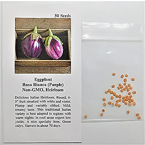 David's Garden Seeds Eggplant Rosa Bianca 2244 (Purple) 50 Non-GMO, Heirloom Seeds