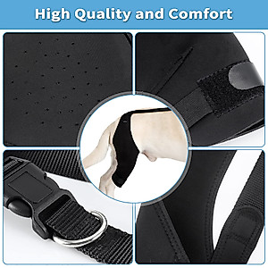 Noillow Dog Knee Brace, Dog Leg Brace for Sprain ACL, CCL, Arthritis - Keeps The Joint Warm and Stable, Leg Wounds Care and Prevent Licking, Dog Rear Leg Luxating Patella Brace-Right-L