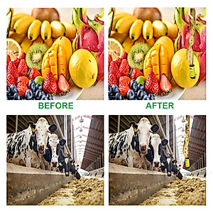 60 Pack Fly Traps for Indoors Outdoor, Fly Strips Paper, Sticky Hanging Fly Tape Catcher Ribbon, Fruit Fly Gnat Trap Killer