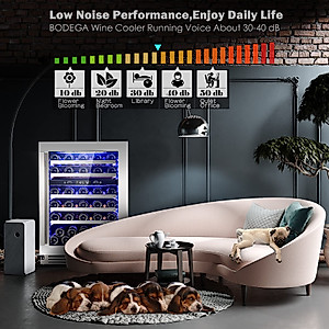 BODEGA 24 Inch Wine Cooler,56 Bottle Wine Refrigerator Dual Zone, Built-In and Freestanding Wine Fridge,with Quick and Silent Cooling System for Red, Rose and Sparkling Wines,Stylish Look