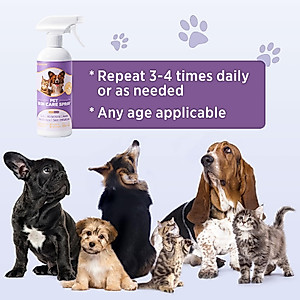 HICC PET Itch Relief Spray & Hot Spot Treatment for Dogs Cats 16.1 Fl Oz