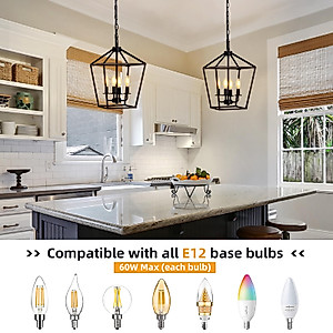 4 Light Chandelier, Industrial Ceiling Light Black Lantern Light Fixtures with Farmhouse Metal Cage Adjustable Height Rustic Geometric Hanging Light E12 Base for Kitchen Island, Entryway, Indoor
