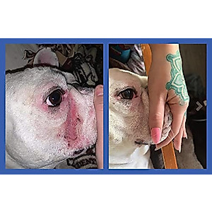 Squishface Flexible Silicone Dog Wrinkle Paste Applicator - Gentle Paste Application - Softer, Cleaner Way to Apply Wrinkle Paste & Tear Stain Paste to Your Dog's Face - for Every Product & Breed!