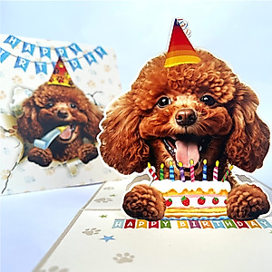 Crazytops Poodle Dog 3D Birthday Funny Pop Up Cards, Poodle Funny and Surprise Happy Birthday Lovely Cards