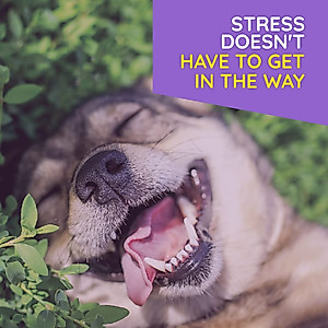 T-Relief Pet Calming Drops Natural Comfort Remedy & Nervousness Relief with Chamomile + 9 Homeopathic Stress Relieving Active Ingredients - Relaxing Herbal Blend for Dog & Cat - 1.69 oz