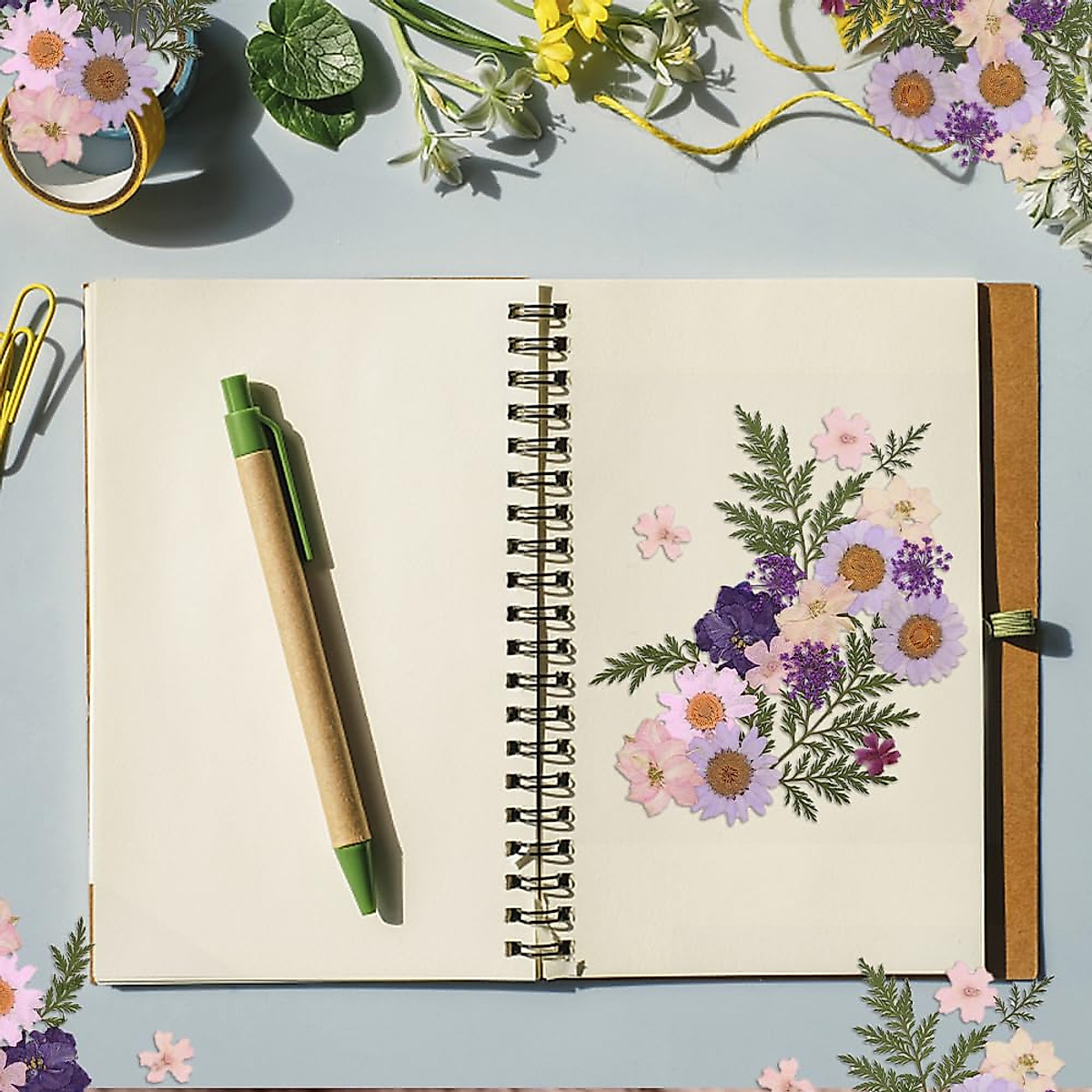 40Pcs Natural Pressed Dried Flowers Resin, Dry Flowers for Resin Accessories with Tweezer, Dried Flower for Scrapbooking DIY Art Crafts, Epoxy Resin Jewelry Molds, Candle, Nails Décor, Craft Making