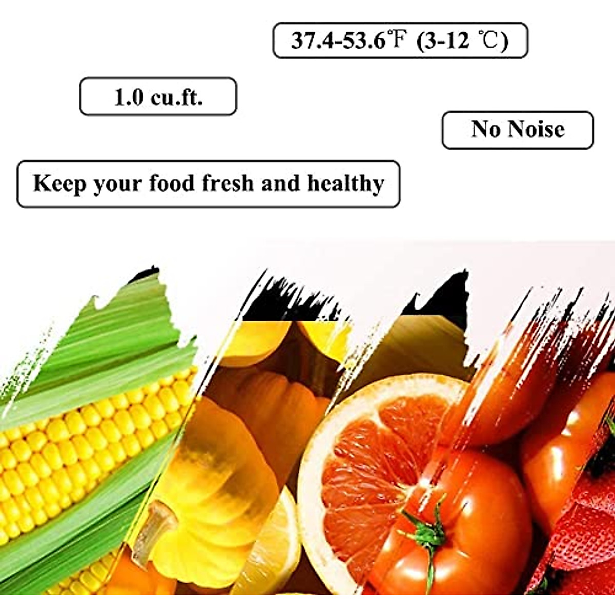 Smad Mini Fridge with Lock Compact Refrigerator for Bedroom Dorm Office No Noise,12V/110V,1.0 Cubic Feet, Black