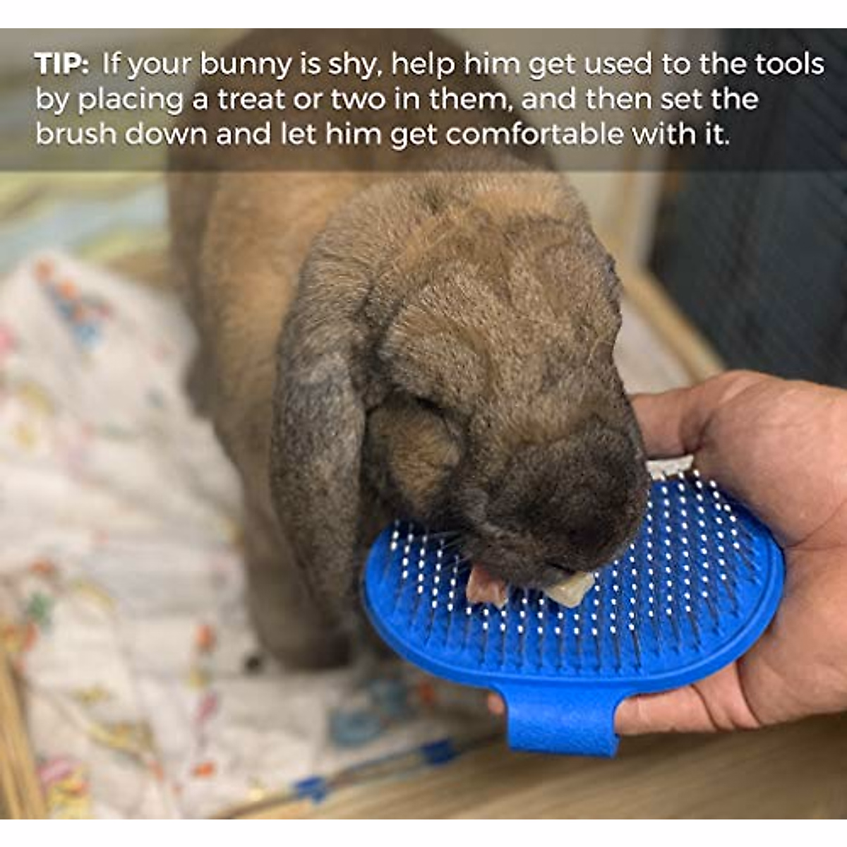 Rabbit Grooming Kit with Rabbit Grooming Brush - Rabbit Hair Brush and Rabbit Hair Remover- Bunny & Guinea Pig