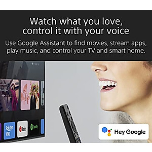 Sony 43 Inch 4K Ultra HD TV X85K Series: LED Smart Google TV(Bluetooth, Wi-Fi, USB, Ethernet, HDMI) with Dolby Vision HDR and Native 120HZ Refresh Rate KD43X85K- 2022 Model