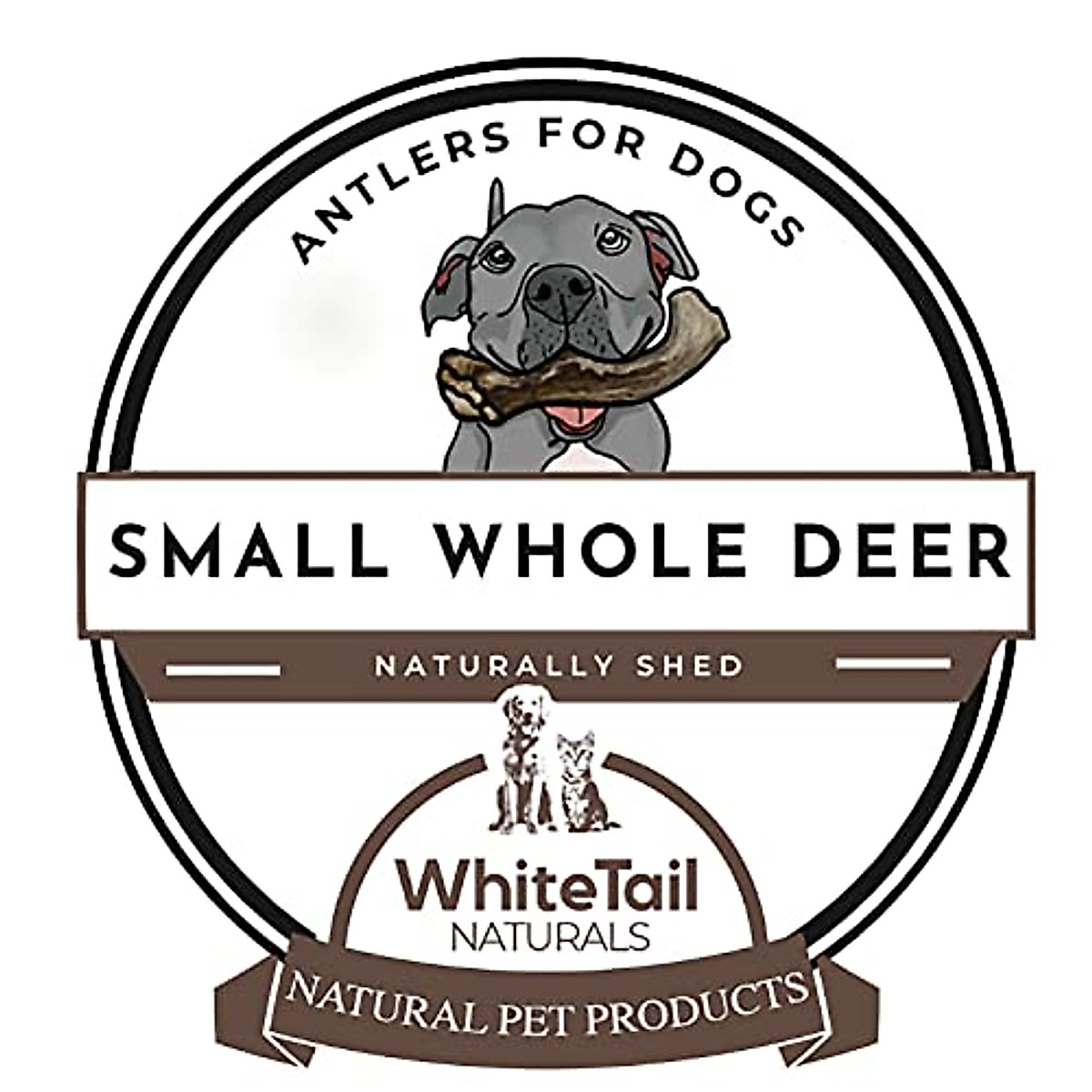 WhiteTail Naturals - Antlers for Small Dogs (6 Pack) Deer Antler Dog Chew Bones for Small to Medium Aggressive Chewers - Long Lasting Horn Chew Toys - Naturally Shed