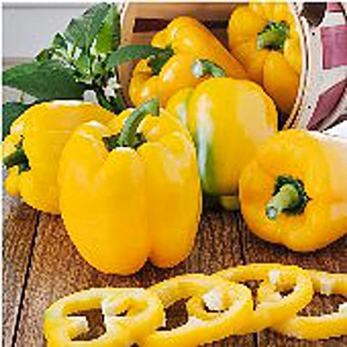 Yellow Belle II Sweet Peppers Seeds (20+ Seeds) | Non GMO | Vegetable Fruit Herb Flower Seeds for Planting | Home Garden Greenhouse Pack