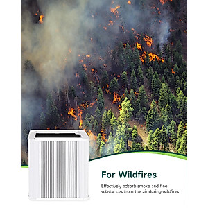 211+ Replacement Filter for Blue Pure 211+ Air Purifier (Non-Auto), H13 True HEPA & Foldable Activated Carbon Filter