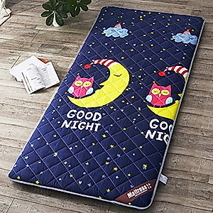 WJH Super Soft Futon Mattress, Japanese Tatami Floor Mat, Mattress Topper Sleep Travel Portable Foldable Single Student Dormitory-F 150x200cm(59x79inch)