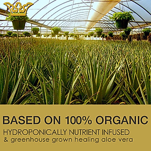 GUNILLA Glycolic Cleanser Exfoliating, Moisturizing Daily Face Wash for Anti-Aging. Aloe Vera Based with 16 Botanicals for All-Skin Types 4 oz.