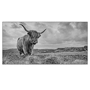 MoBlinko Highland Cow Kitchen Rugs Scotland Cattle Non Skid Bath Mat 39x 20 Inch Washable Standing Floor Mat Runner Carpet for Bathroom Home Office Farmhouse Laundry