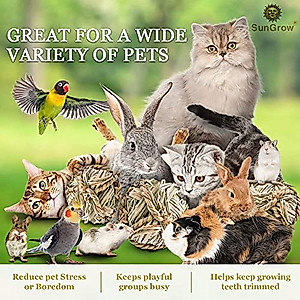 SunGrow Seagrass Balls for Rabbit, for Pet’s Gums & Teeth, Chewable Teething Activity Toy for Gerbils, Guinea Pig, Dwarf Bunny (3 Pieces/Pack)