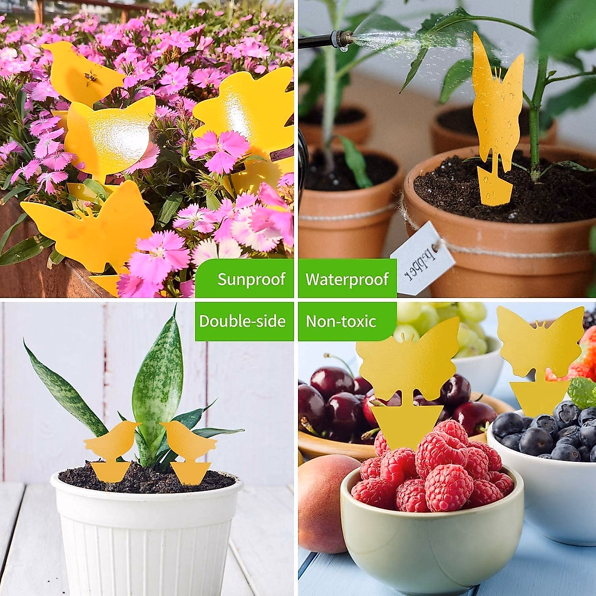 LFSYS 64 Pcs Sticky Traps for gnat, Yellow Stick Traps for Plants, Fungas gnat Traps Double Side with Shovel, Indoor Safe for Gnat, Fruit Fly, White Fly, Aphid, Leaf Miner