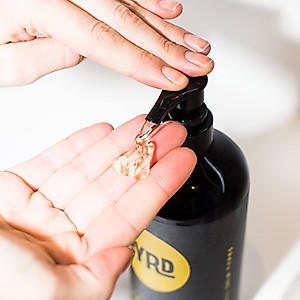 BYRD Purifying Shampoo – Gentle, Sulfate-Free Daily Cleanser, Adds Texture and Volume, For All Hair Types, 16 Oz