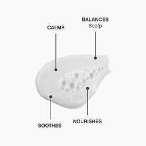 KEVIN.MURPHY SCALP.SPA WASH - Clarifying Scalp Shampoo - For All Hair Types - Soothes Dry Scalp - Colour Safe - Sulphate & Paraben Free Shampoo - 250 mL / 8.4 fl oz