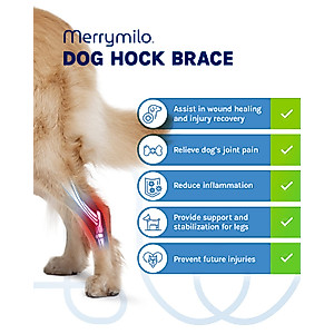 MerryMilo Dog Leg Brace for Rear Hock & Ankle, Canine Hind Leg Joint Compression Wrap for Torn ACL & CCL, Injury and Sprain Protection, Wound Care and Loss of Stability from Arthritis 1 Pair (Size: M)