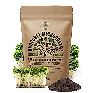 Broccoli Sprouting & Microgreens Seeds - Non-GMO, Heirloom Sprout Seeds Kit in Bulk 1lb Resealable Bag for Planting & Growing Microgreens in Soil, Coconut Coir, Garden, Aerogarden & Hydroponic System.