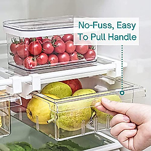 J2K Refrigerator Organizer Bin | Retractable Fridge Storage Drawer Organizer | 1-4 Adjustable Partition Fruits, Vegetables, Egg Storage Container | Fits Fridge Shelf Lip Under 1.5 Cm
