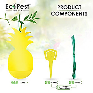 Sticky Fruit Fly and Gnat Traps – 12 Pack | Yellow Fly Paper Trap for House Plants and Gnat Sticky Traps for Fruit Flies, Fungus Gnats, and Other Flying Insects | Indoor and Outdoor Fly Tape