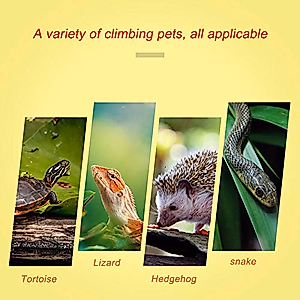 HANJION 6 Pack 50W UVA&UVB Full Spectrum Reptile Heat Lamp Sun Lamp Sunbathe Spot Basking Bulb for Lizard Turtle Habitat Light