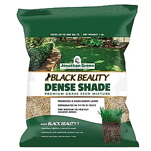 Jonathan Green (10622) Black Beauty Dense Shade Grass Seed - Cool Season Lawn Seed (1 lb)