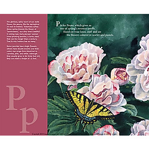 H is for Hoosier: An Indiana Alphabet