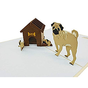 iGifts And Cards Happy Pug Family 3D Pop Up Greeting Card – Birthday, Friendship, Thank You, Congratulations, Celebration, Super Cute, Dog, Puppies, Card For Dog Lovers