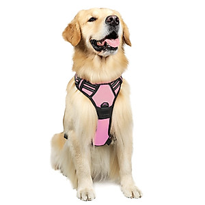rabbitgoo No-Pull Pet Harness with 2 Leash Clips, Adjustable Soft Padded, Reflective No-Choke Pet Oxford Vest with Easy Control Handle for Large Dogs, Pink, L