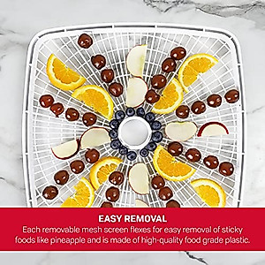 NESCO SQT-2 Square 14 1/2" Speckled Plastic Add-A-Trays, FD-80 Food Dehydrators, White