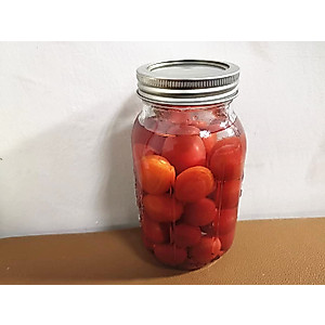 Mason Jars Shaker Lids Regular Mouth Sealing Lids for Mix Spices Canning Jar Lid Set of 4