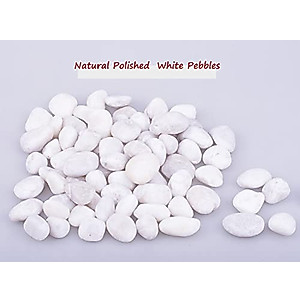HOT SEAL 2.0 lb White River Rock Stones 1~1.5", Natural Decorative Highly Polished Pebbles, Indoor Decorative Stones for Plant, Aquariums, Landscaping, Garden Flower Bed, Vase Fillers