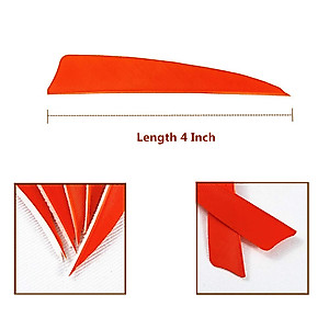 Archery Fletchings Real Turkey Shield Feathers 4 Inch Full Length 50 Pack Glued Right Wing for Arrow DIY (Orange)