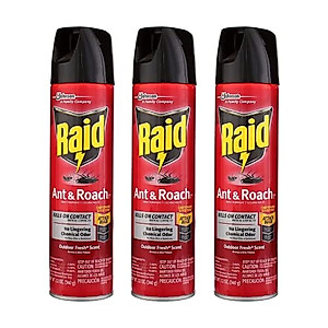 Raid Ant & Roach Killer Outdoor Fresh Cans 12 oz. (Pack of 3)