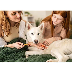 Brushmate Dog Toothbrush for Pet Puppies Dogs and Cats Dual Size Angled Soft Brush Heads, Ergonomic Handle with a Flat Center That enhances Grip Control