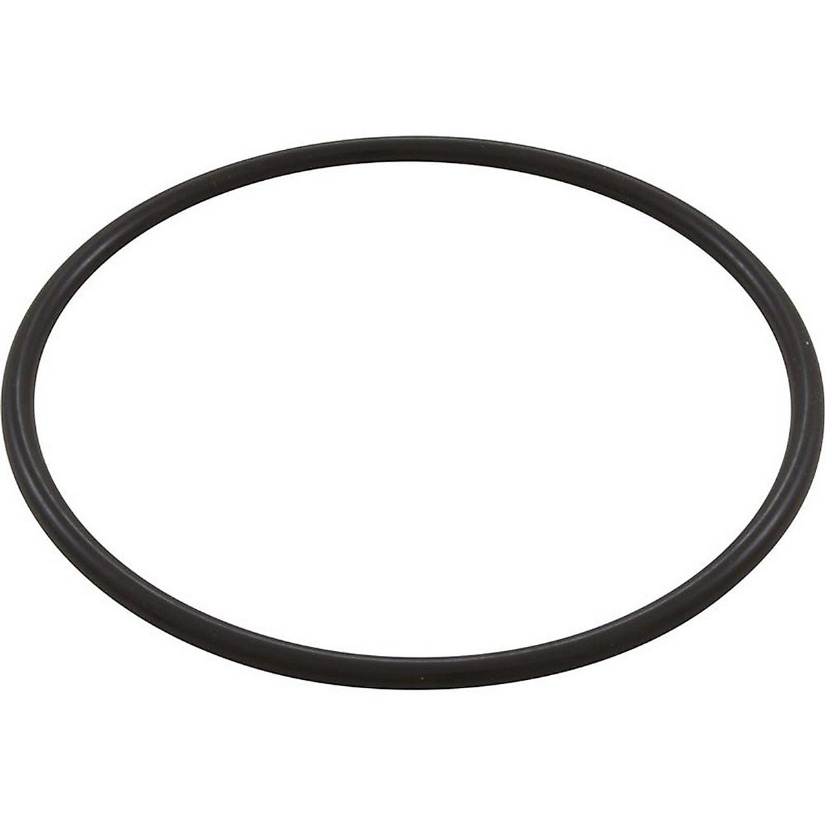 Waterway Plastics 806105129826 6" Trap Lid O-Ring
