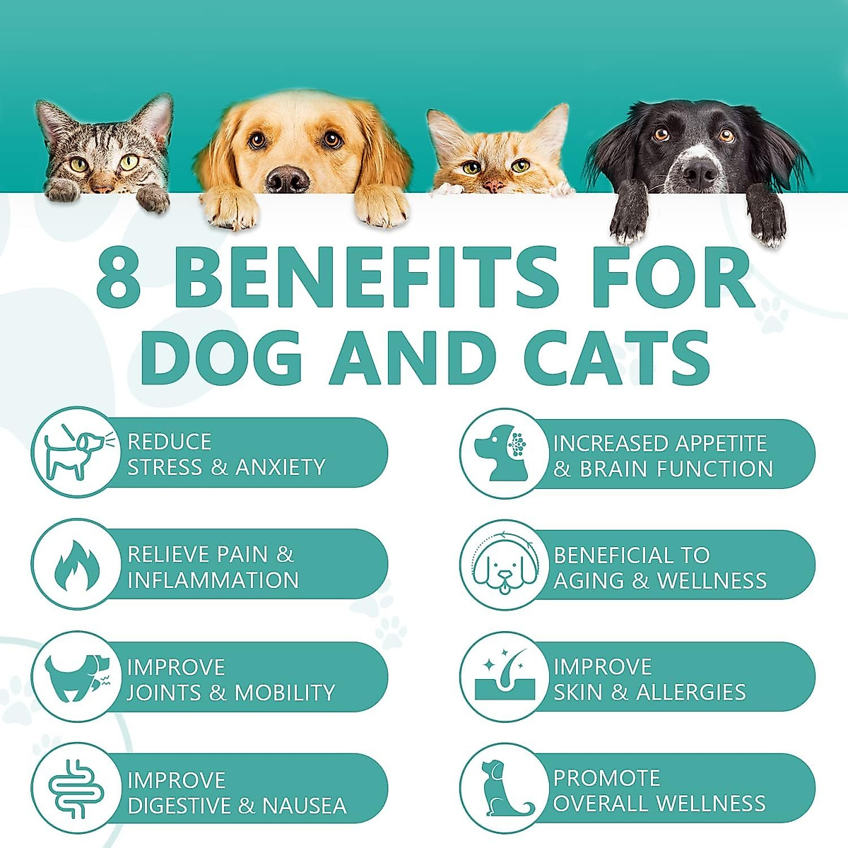 Dog Relaxants Dog Herbal Supplements Oil for Dogs Hip and Joint Support