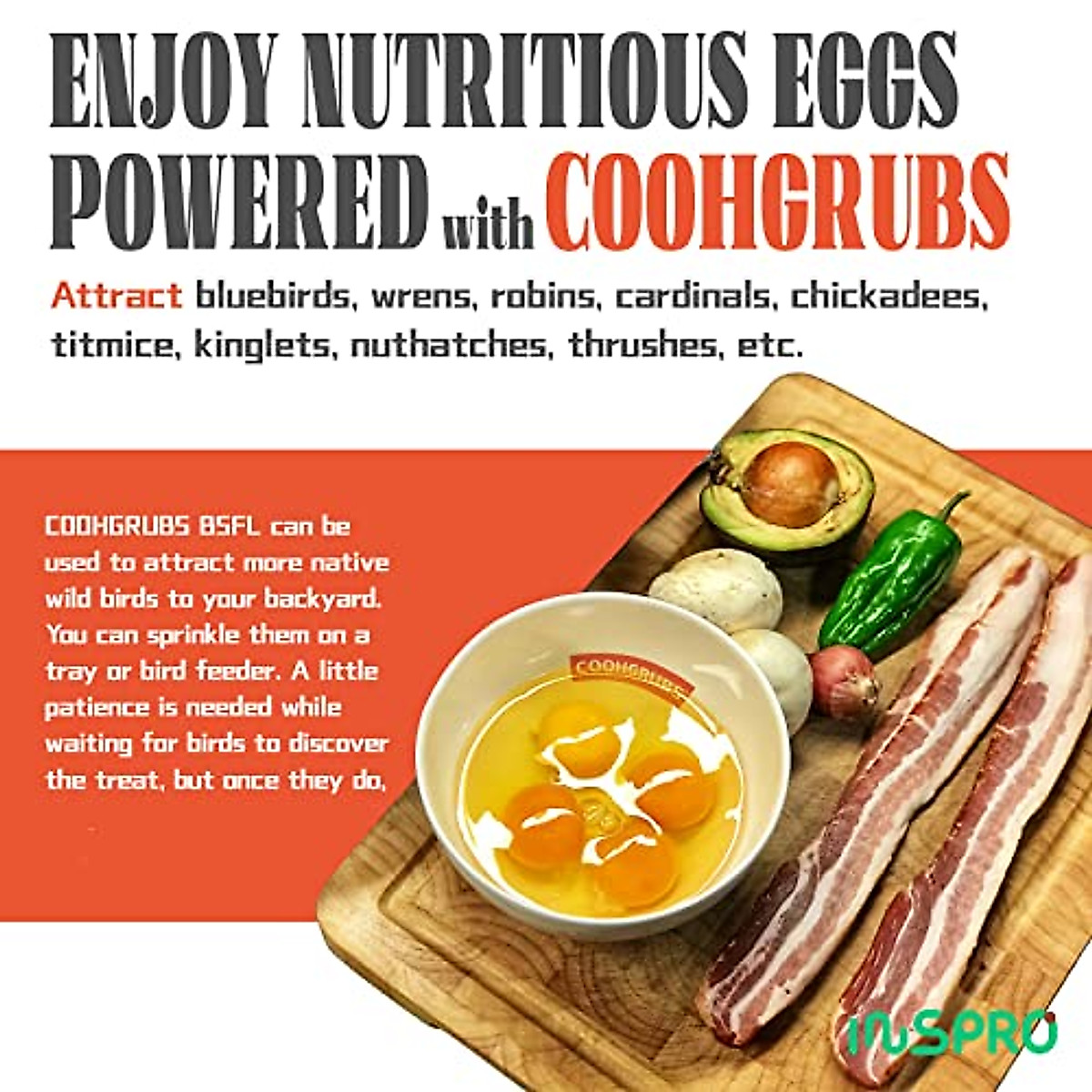 coohgrubs Premium Quality Dried Black Soldier Fly Larvae, Natural Nutritious Grubs for Chickens, High Protein and Calcium Rich Treats for Laying Hens, Ducks, Geese, Turkeys, Quails and More