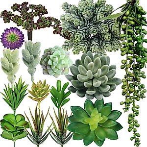 Winlyn 16 Pcs Unpotted Textured Artificial Succulents Plants Bulk Assorted Faux Realistic Hanging Succulents Aloe Hops Cactus Picks in Different Green for Pots Arrangement Wedding Centerpieces Decor