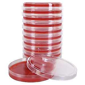 Blood Agar Plate, 5% Sheep Blood in Tryptic Soy Agar (TSA) Base, EH (Enhanced Hemolysis), 15x100mm Plate, Order by The Package of 10, by Hardy Diagnostics
