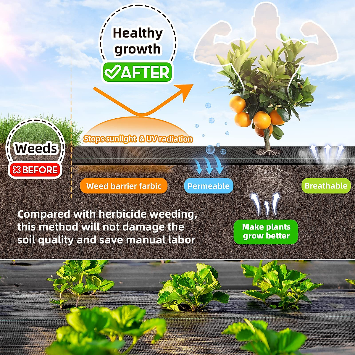 LAVEVE 3FTx 100FT Weed Barrier Landscape Fabric, 3.2oz Premium Heavy-Duty Gardening Weed Control Mat, Ground Cover for Gardening, Farming with 20 U-Shaped Securing Pegs