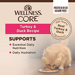 Wellness CORE Pate Adult Wet Cat Food, Natural, Protein-Rich, Grain Free, 3 Ounce, 12 Pack (Turkey & Duck)